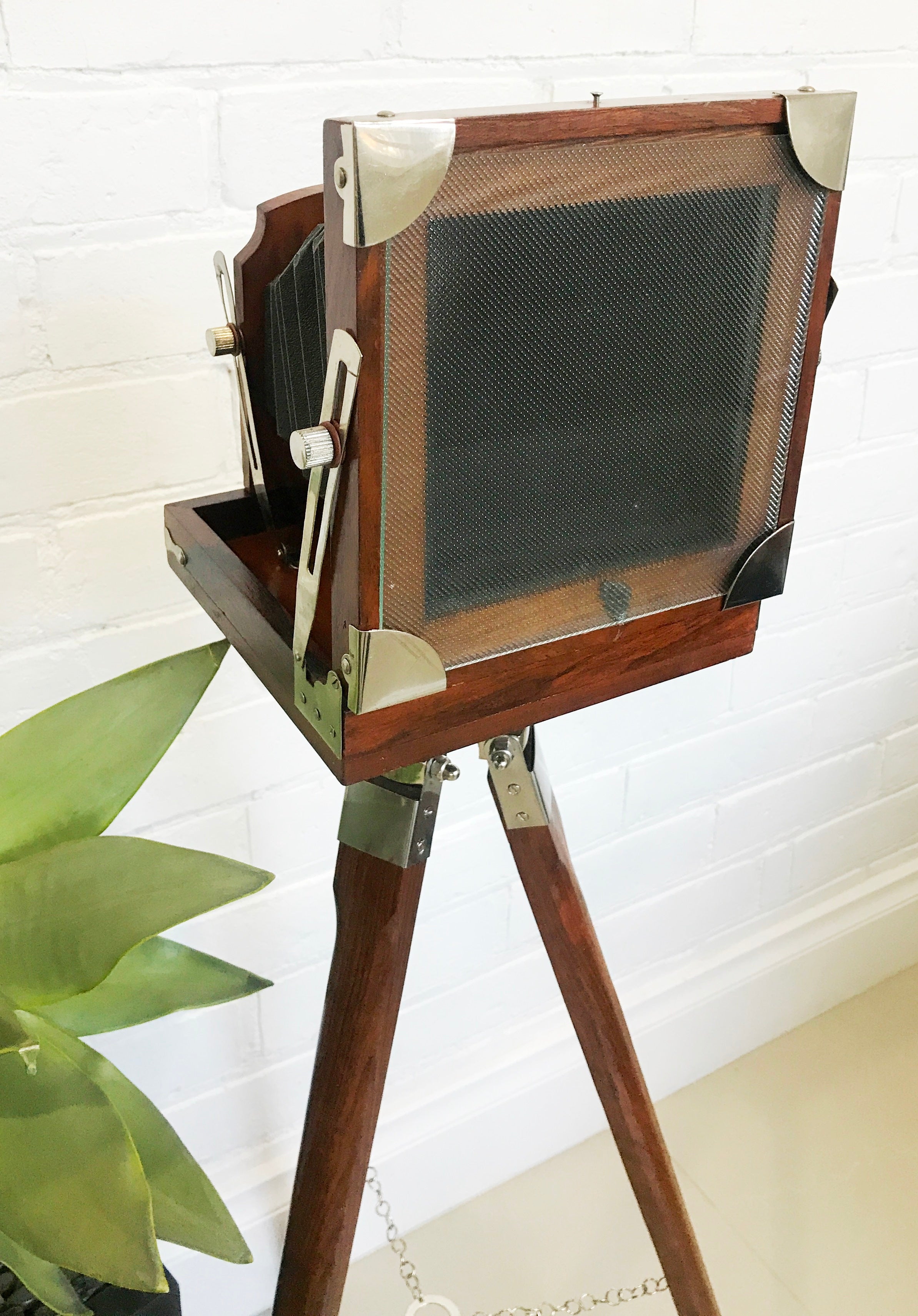 Vintage Folding Camera on Tripod Stand | Adelaide Clocks